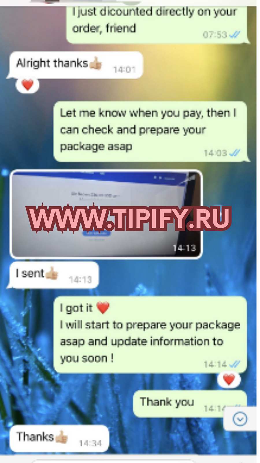 CUSTOMER REVIEW - tipify.ru