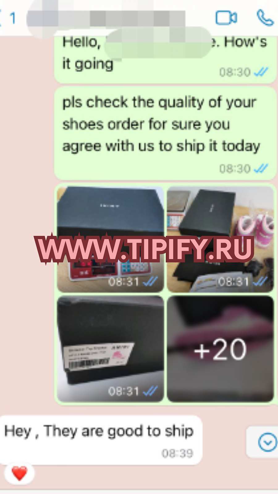 CUSTOMER REVIEW - tipify.ru