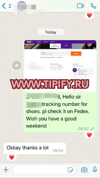 CUSTOMER REVIEW - tipify.ru